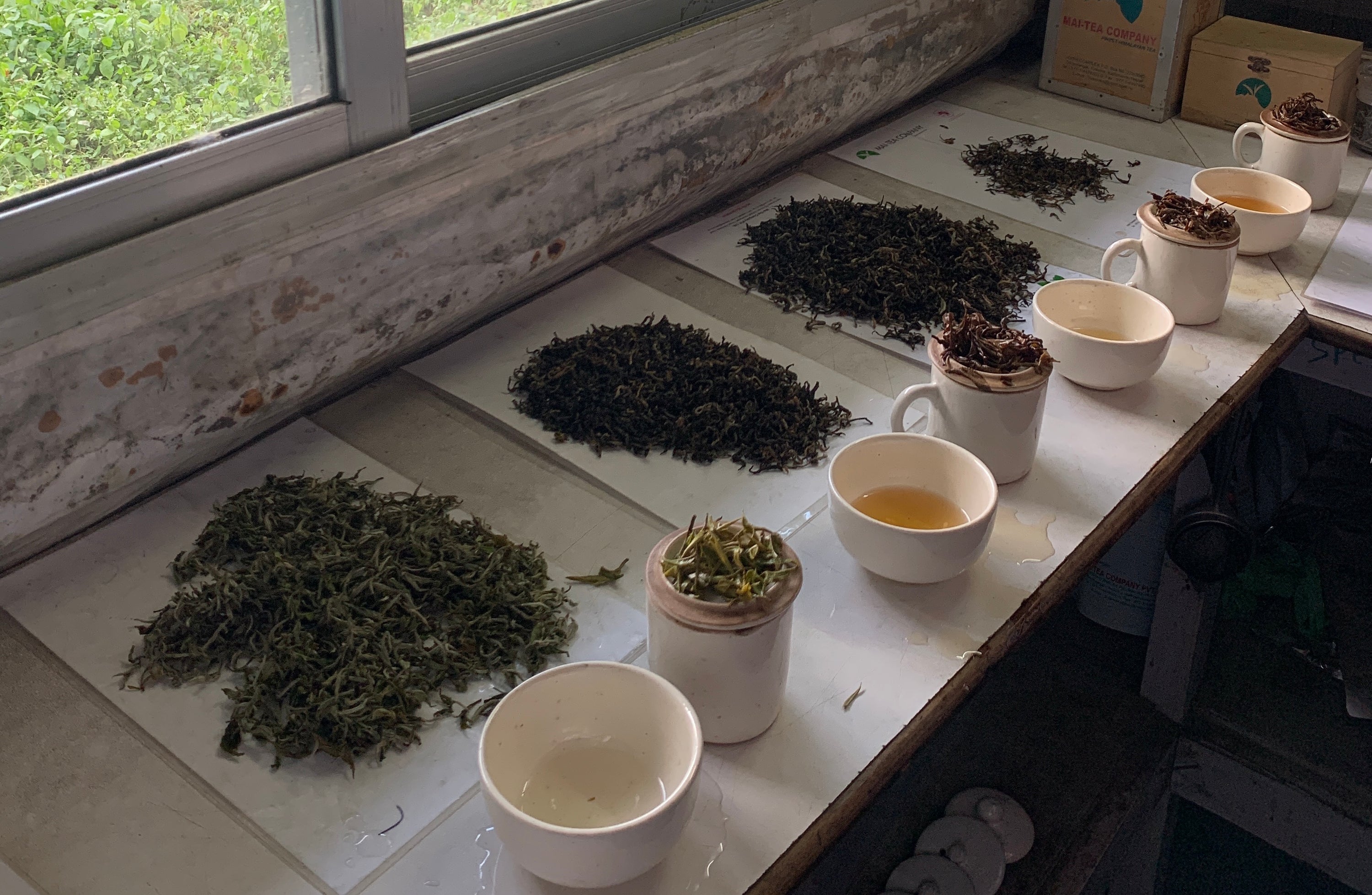 Companion Tea